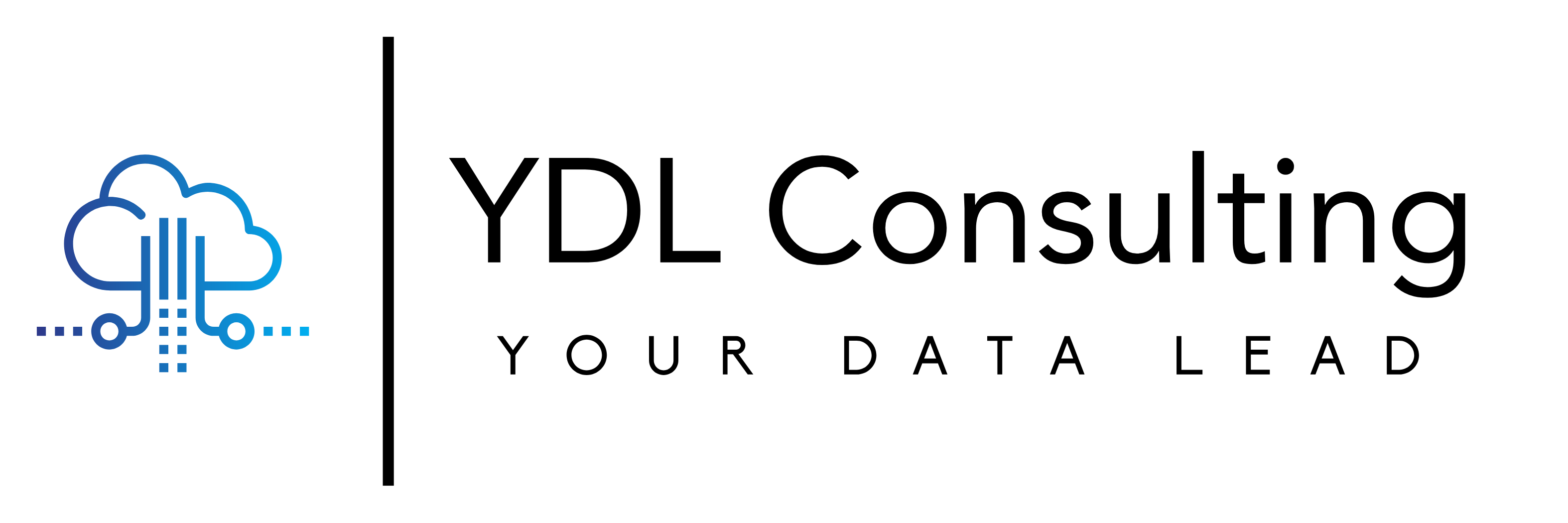 Your Data Lead
